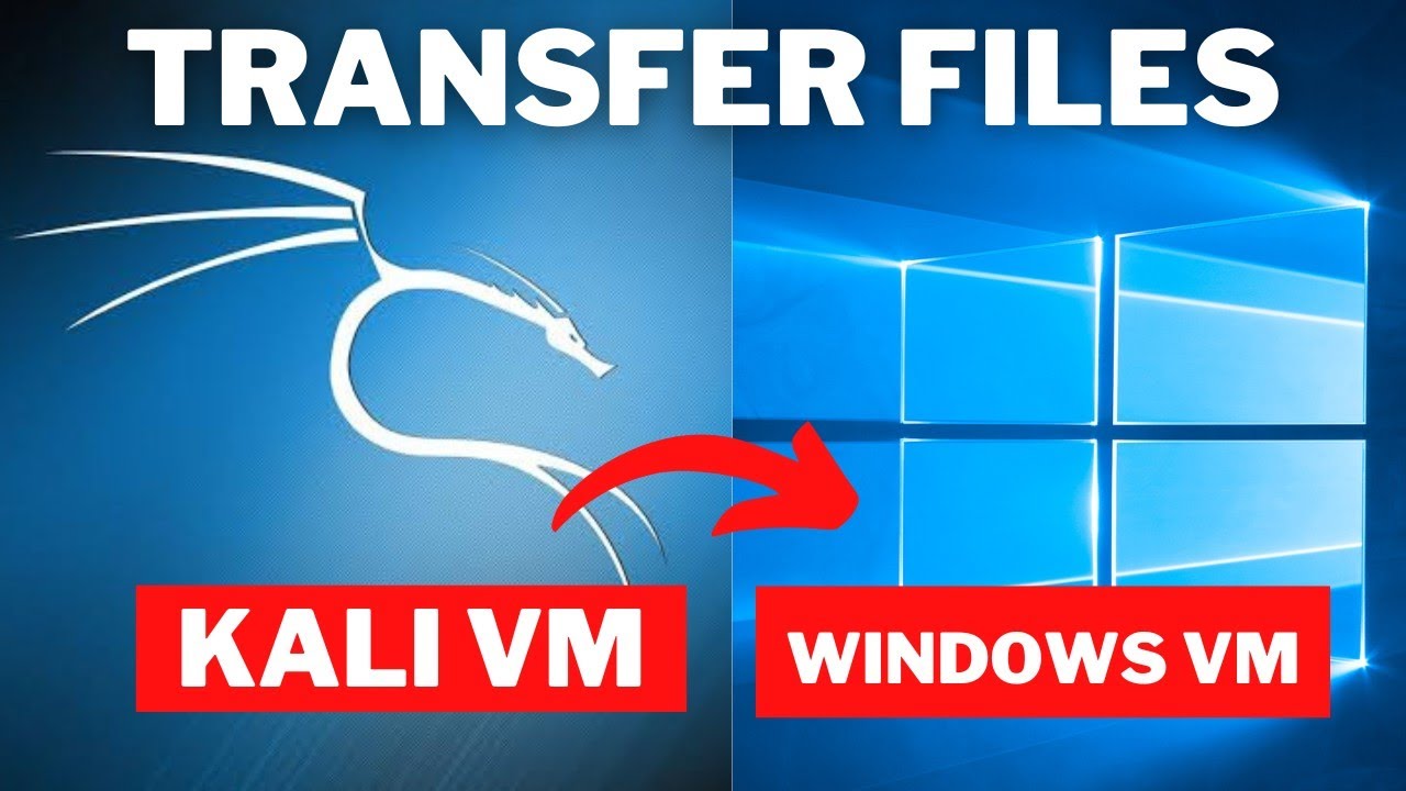 How To Send Files From Your KALI LINUX VM To WINDOWS VM on Vmware ...
