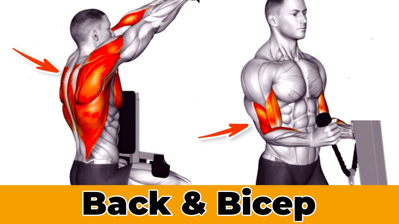 Add These 6 Exercises on Your BACK & BICEPS WORKOUT - YouTube