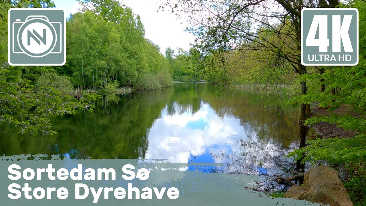 4K Virtual Walk - Sortedam Sø, Denmark - We take a walk in Store ...