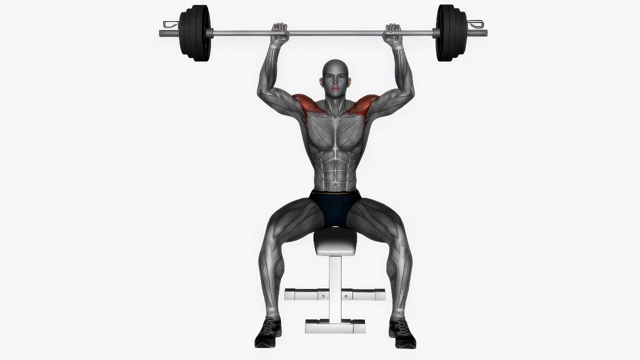 "Shoulder Flex: Build Bolder and More Defined Shoulders with These ...