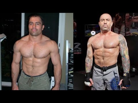 Joe Rogan Steroids