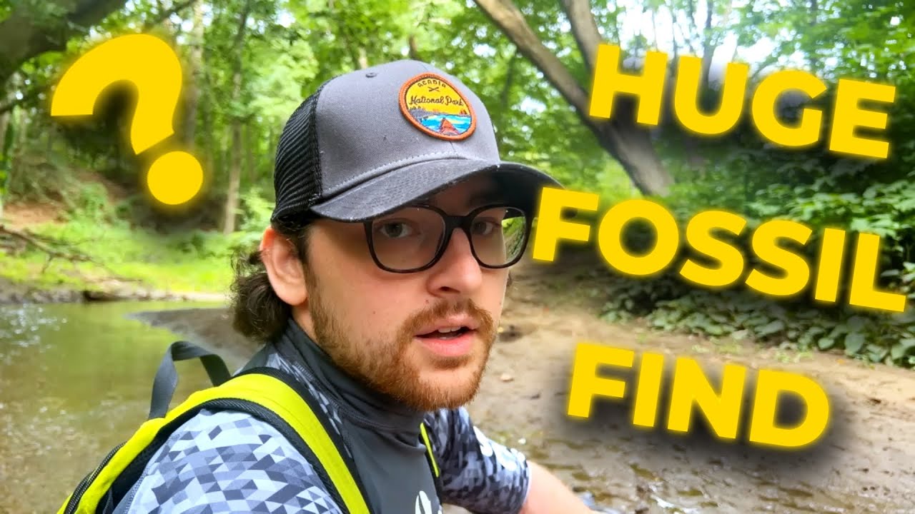 We Discovered Mosasaur, Shark Teeth, and Other Stunning Fossils In A ...