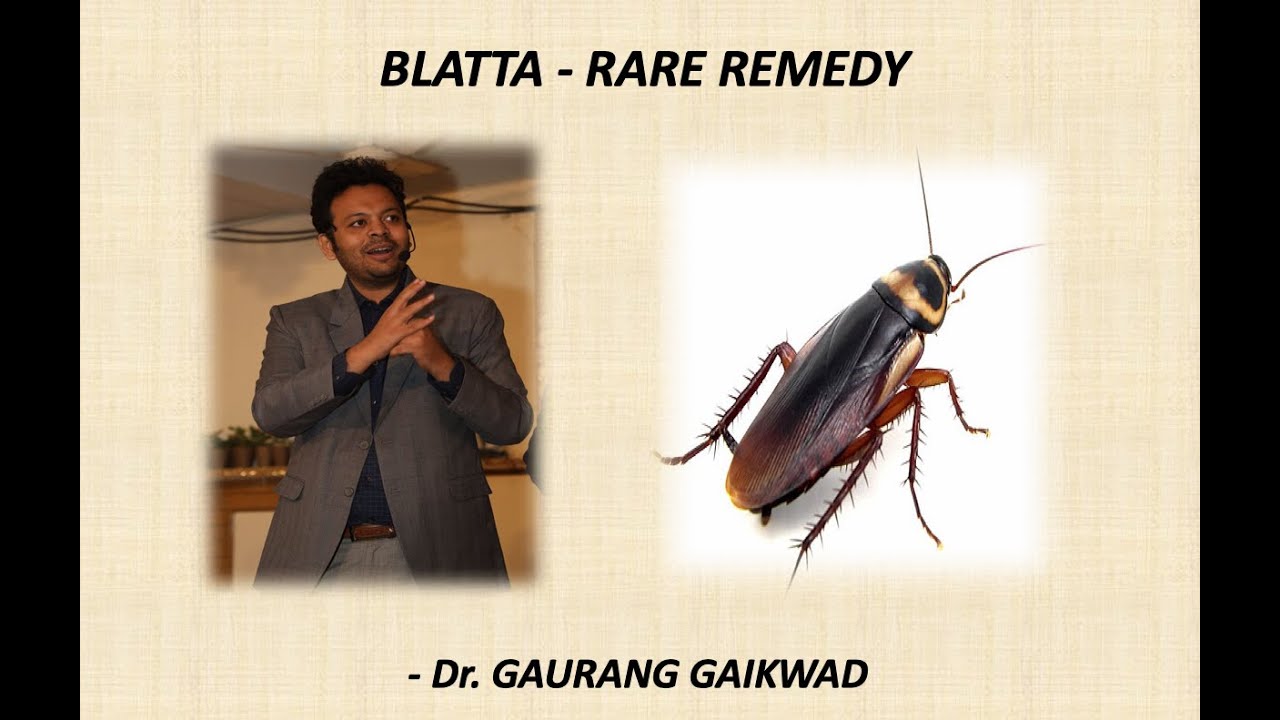 Blatta - Rare Remedy - Dr. Gaurang Gaikwad - YouTube