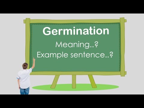 Germination meaning in Urdu|Hindi |English |How to pronounce ...