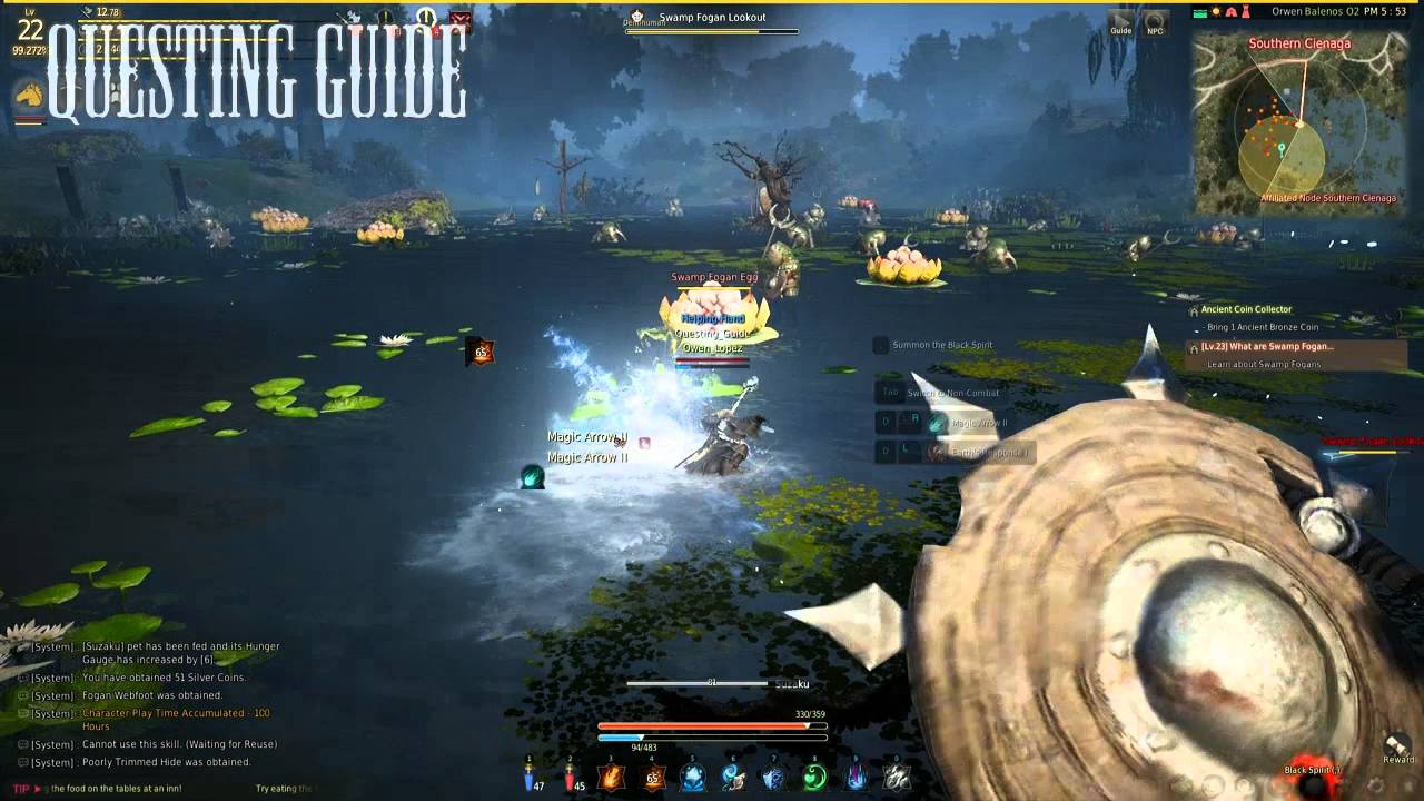 Black Desert What are Swamp Fogans - YouTube