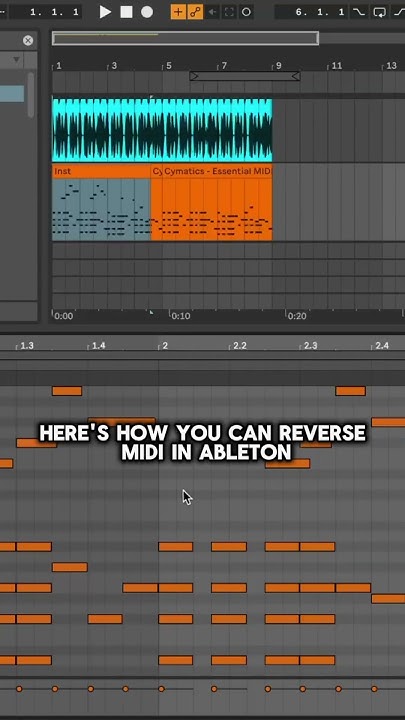 How to reverse Audio & MIDI in Ableton - YouTube
