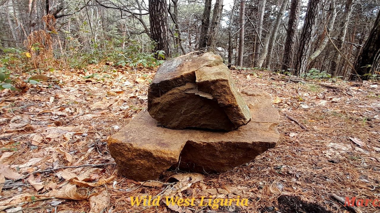Wild West Liguria..Walking Trees..March 2025.. - YouTube