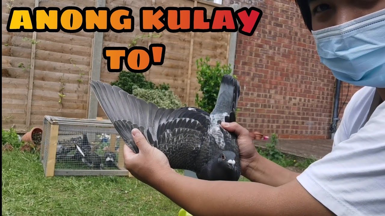 Ligo day at loft daily routine - YouTube