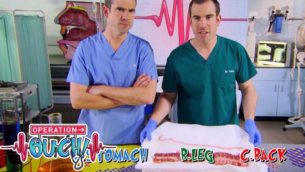 Importance of The Spinal Chord | #Clip | TV Show for Kids | Operation Ouch - YouTube