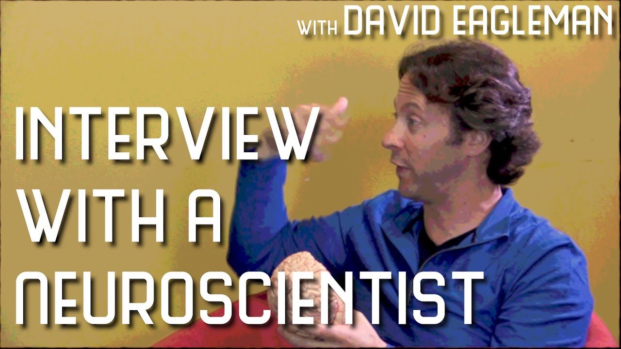 David Eagleman - Interview with a Neuroscientist - YouTube