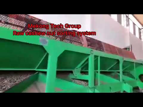 Raw cashew nut calibration machine - YouTube
