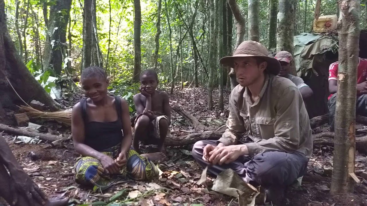 Aka Pygmy camp in the middle of the rainforest. Likouala Republic of ...
