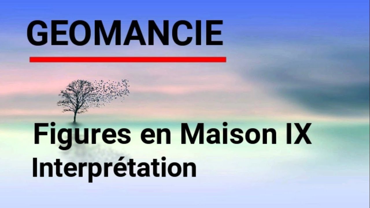 GEOMANCIE -LECON 22 - FIGURES en MAISON IX - Interprétation - YouTube