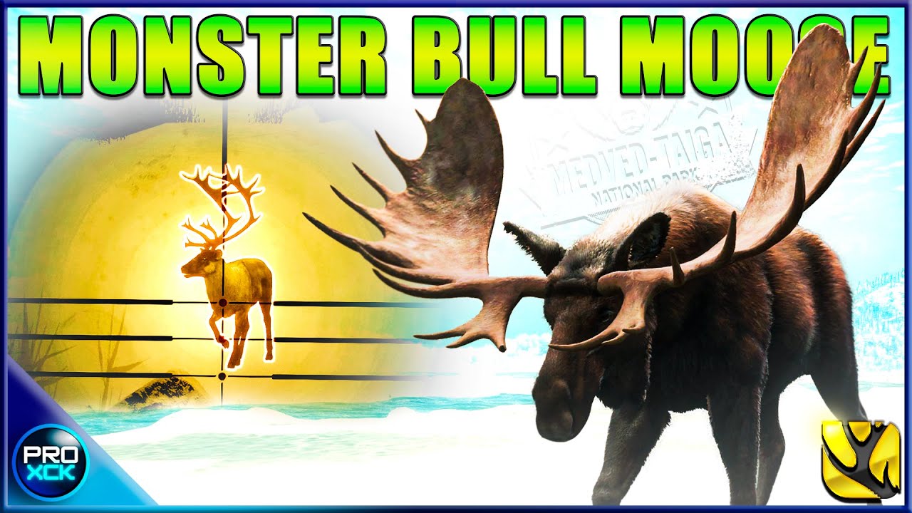Double MONSTER Moose!! | Checking the Best Hotspots in Medved Taiga ...