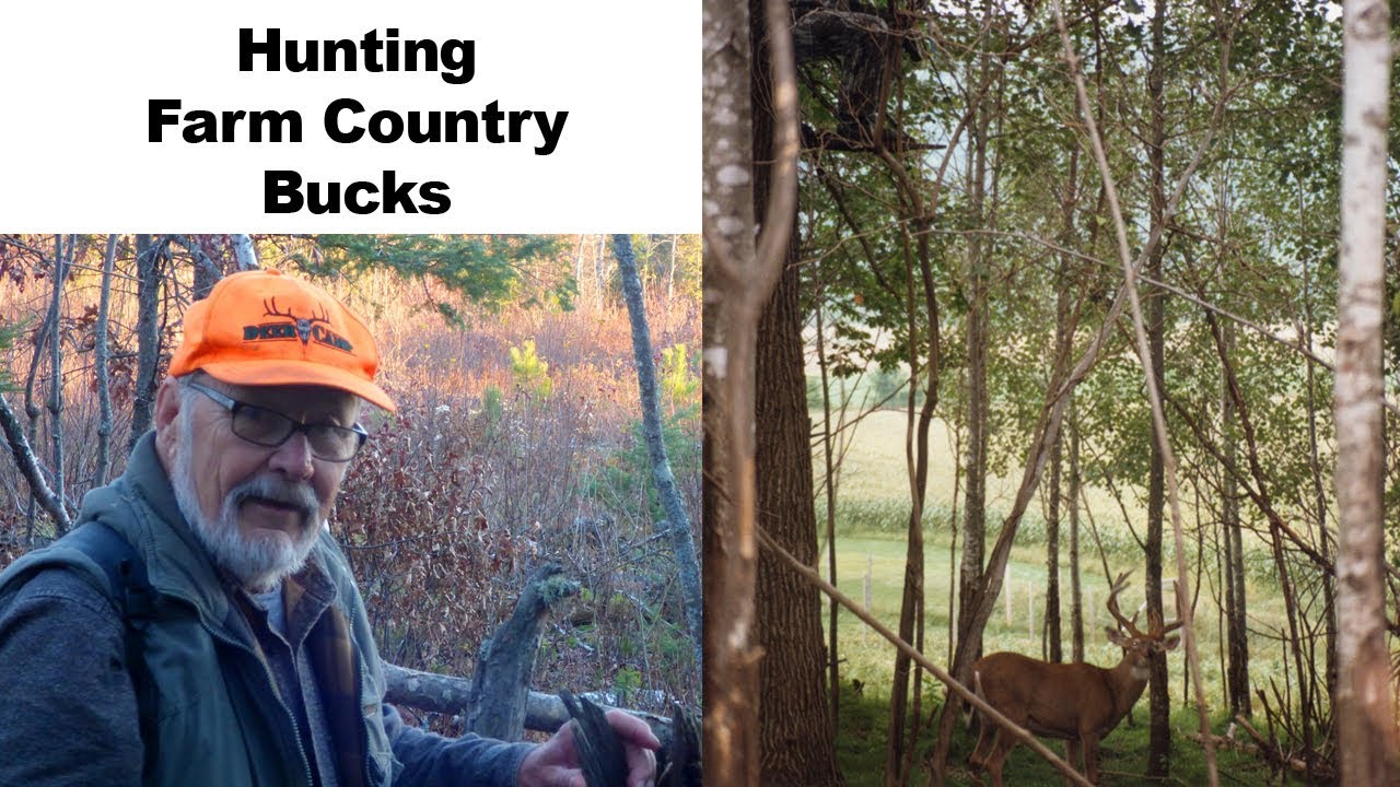 Hunting Farm Country Bucks (Be sure to read the description) - YouTube