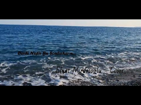 Halil Sezai - SONBAHAR GİTAR COVER (SAHİL)