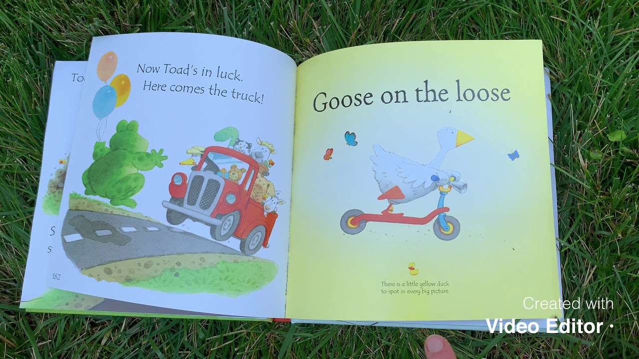 Goose on the Loose from Usborne Ted and Friends Phonics Collection ...