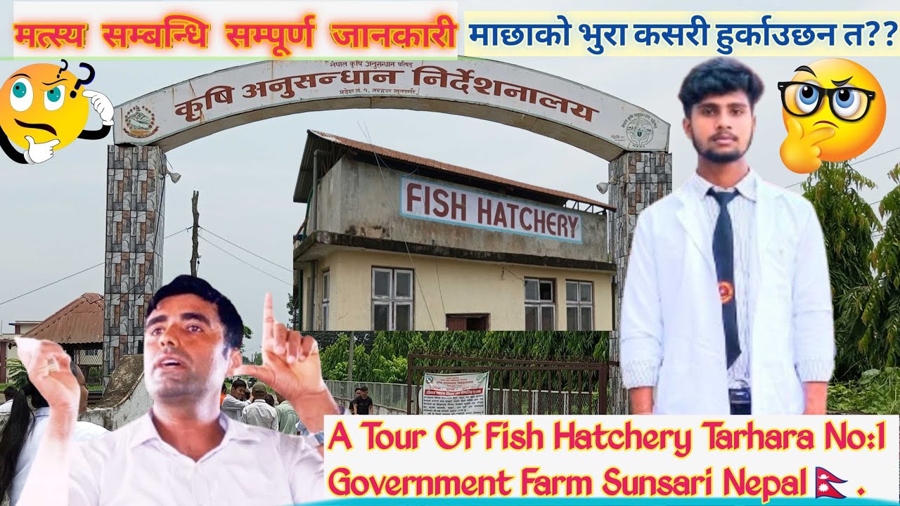 A virtual walking tour in Tarahara, Sunsari~All about Fish Hatchery 🐠 ...