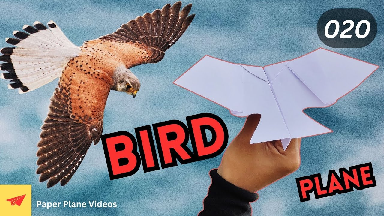 Bird plane - flying bird - how to make a paper plane fly like a bird ...