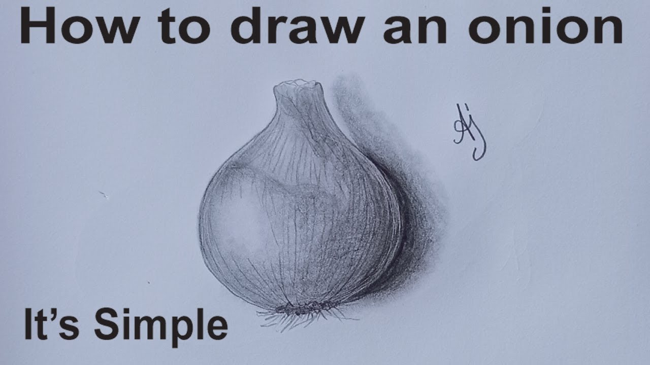 How to draw an onion | how to draw an onion step by step | Pencil ...