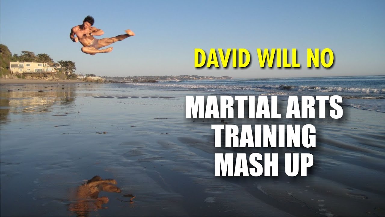 David Will No - Martial Arts Training mashup - YouTube