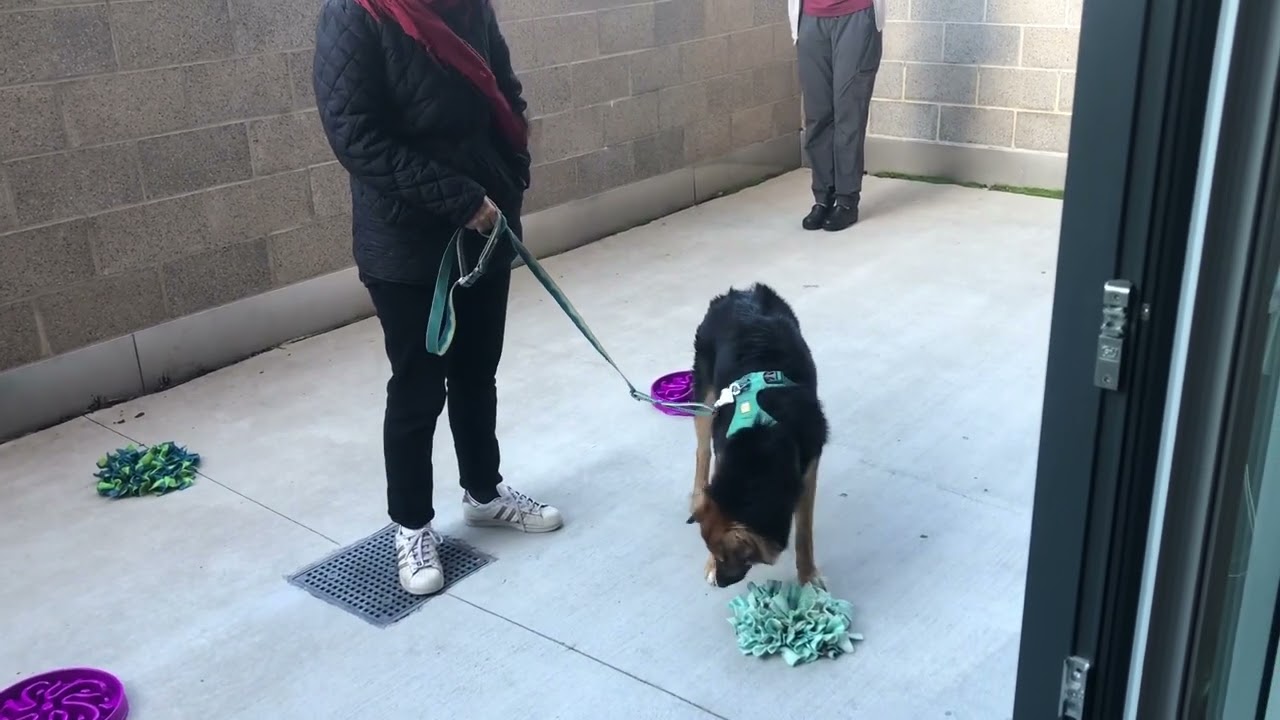 Latte Decaf - Control Unleashed Pattern Game - YouTube