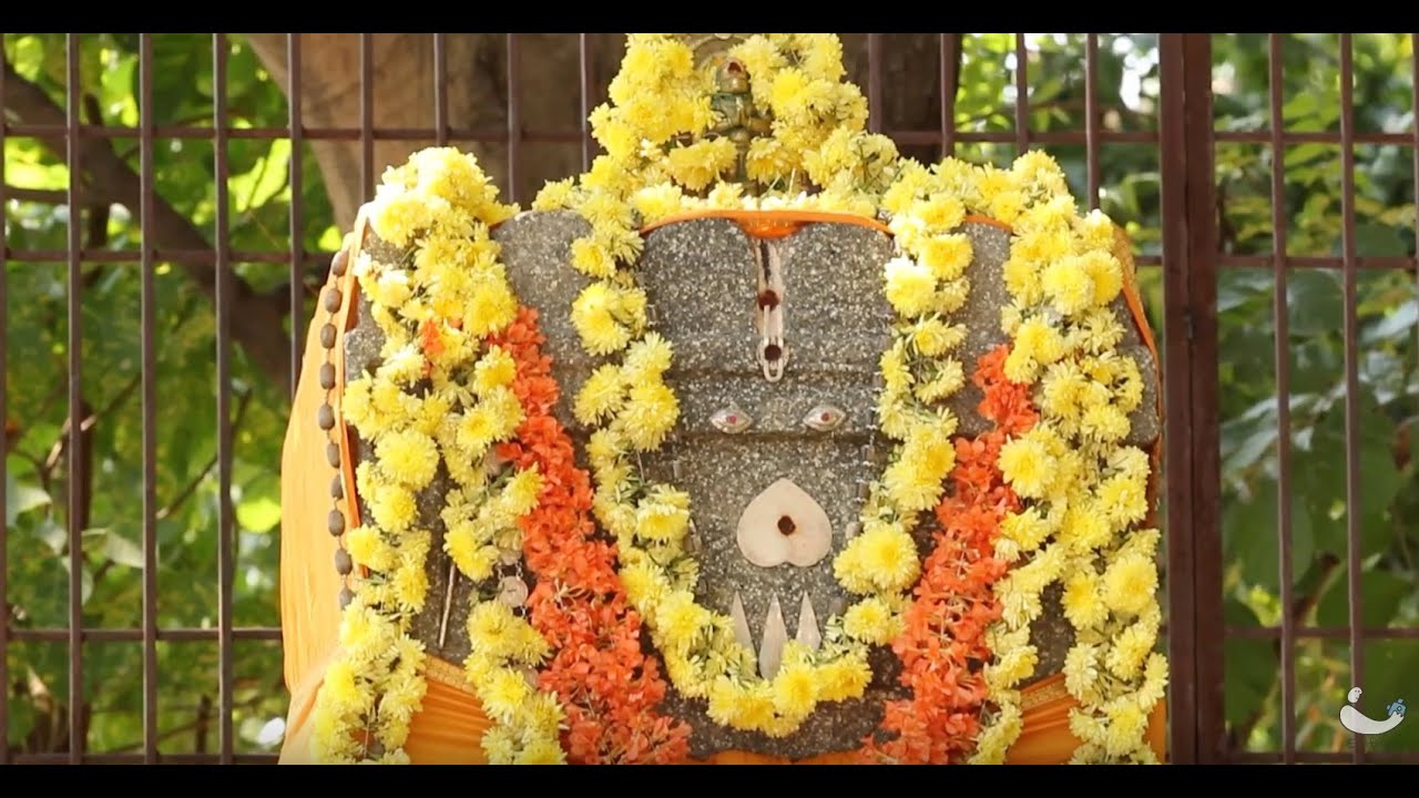 Rayara Brindavana at Bichale - YouTube