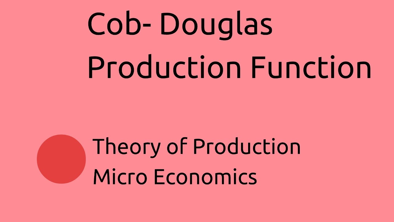 Cob- Douglas Production Function | Production | CA CPT | CS & CMA ...
