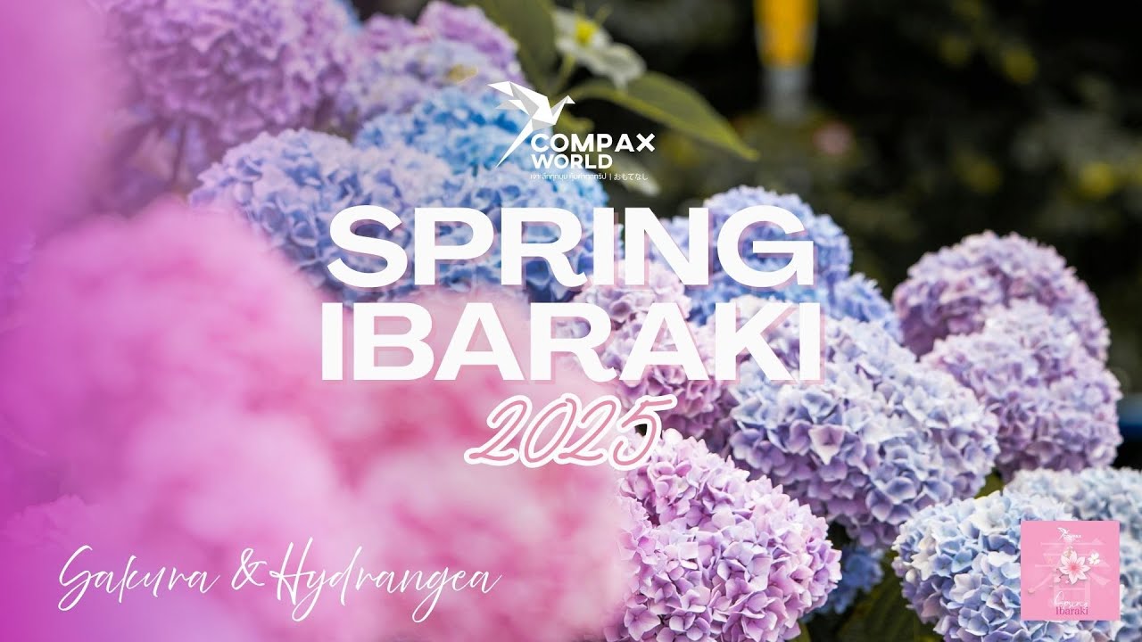 Sakura Hydrangea Spring @Ibaraki | Japan Flower Journey By CompaxWorld 2025 - YouTube