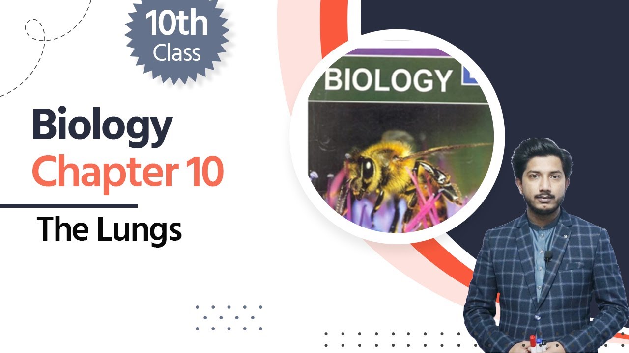 Biology Class 10th Chapter 10 - Class 10 Biology Chapter 10 - 10th ...