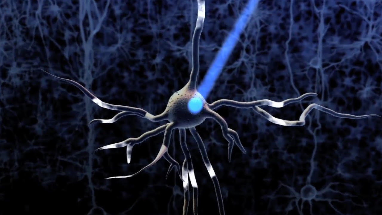 Installing New Solar Panels Inside Your Head - YouTube