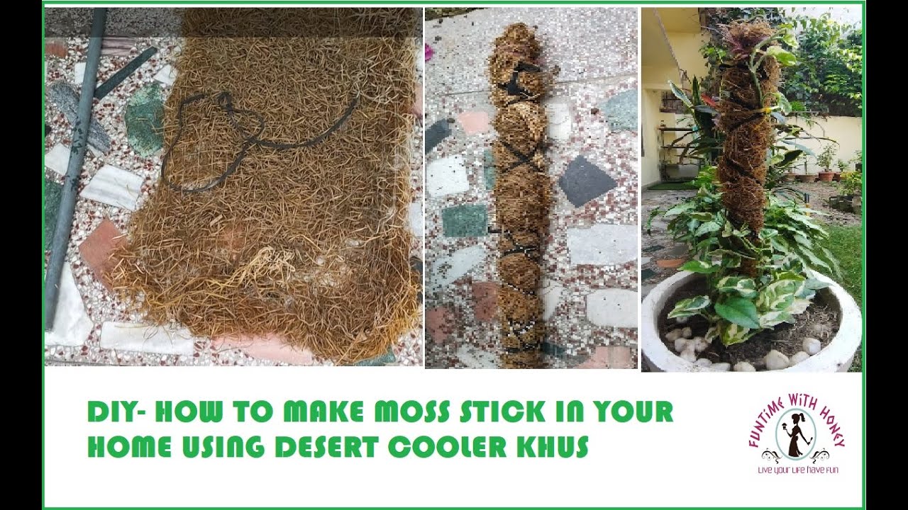 How To Make Moss Stick At Your Home#trending #kabadsejugad#gardening# ...
