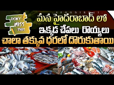 Biggest fish Market in Hyderabad || Exploring Ramnagar fish market ...