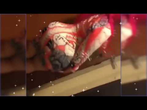 NIIKO NAAG QAWAN NIIKO FADHI 2019