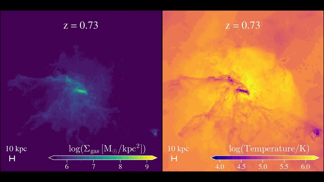 Baryonic Gas Density and Temperature Evolution (CDM Simulation) - YouTube