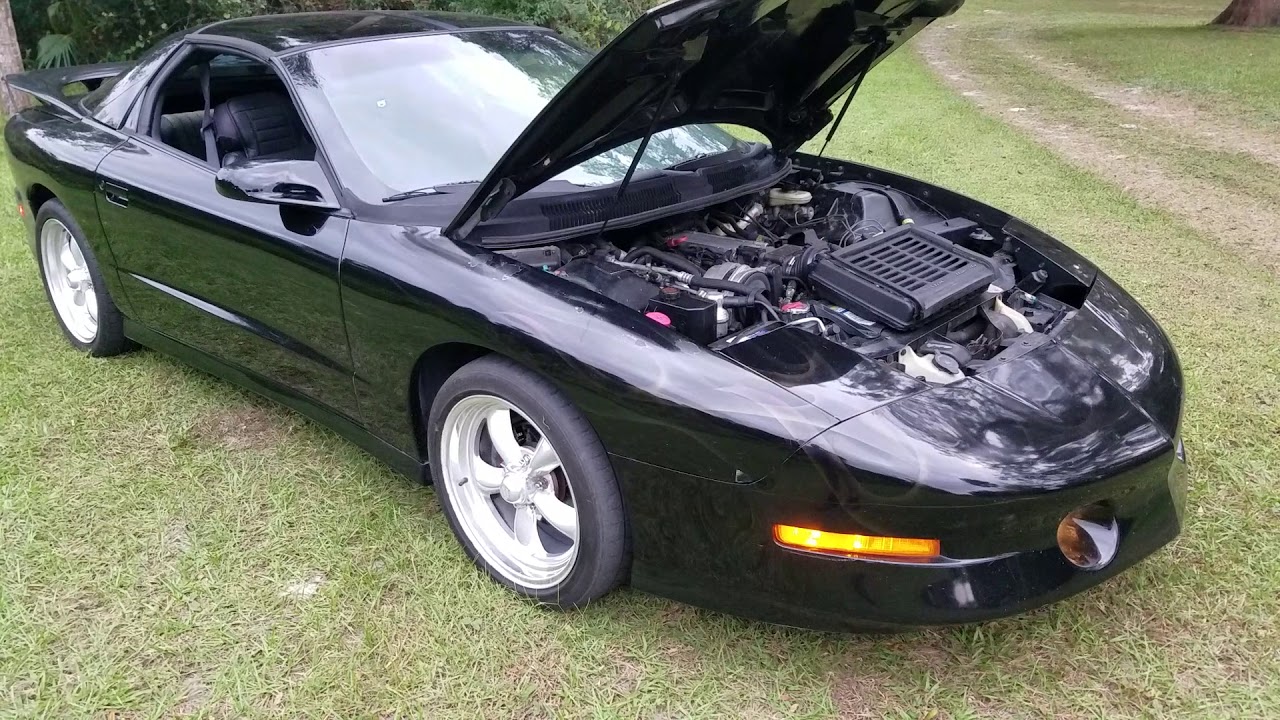 1996 Harley Davidson Edition WS6 Trans Am - YouTube