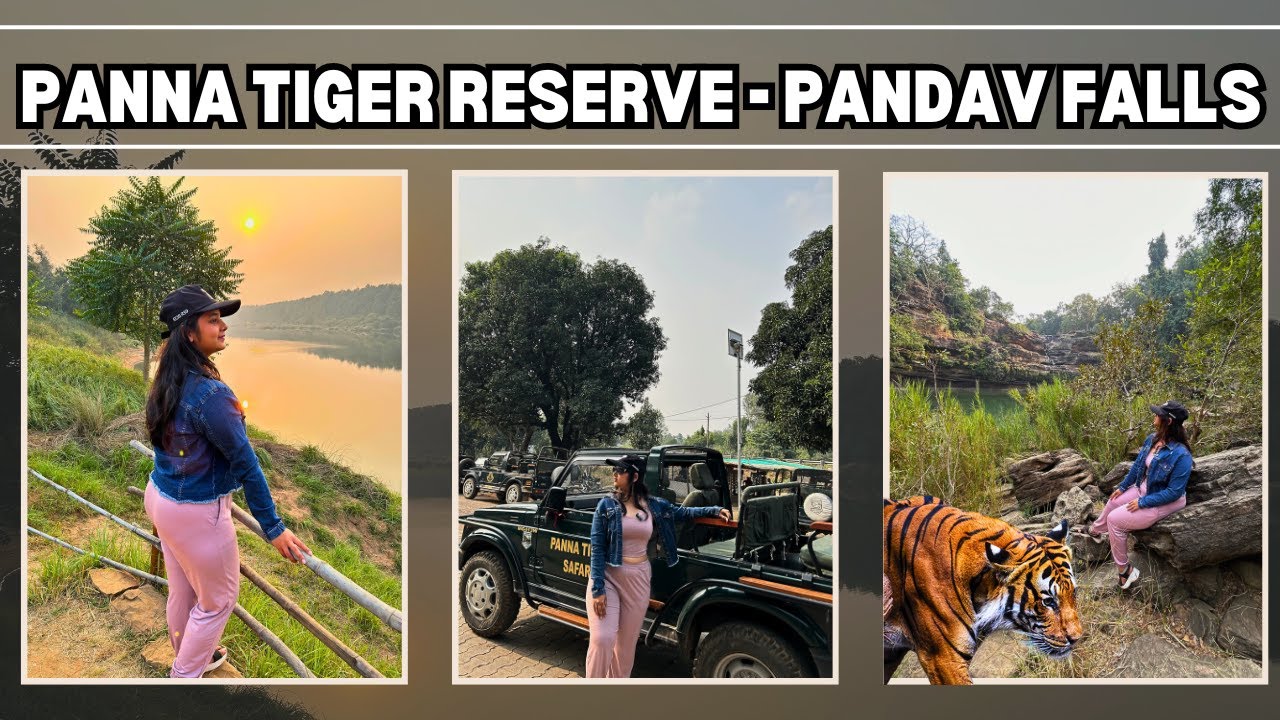 Panna Tiger Reserve Safari | Pandav Falls | Madhya Pradesh | Madla gate ...