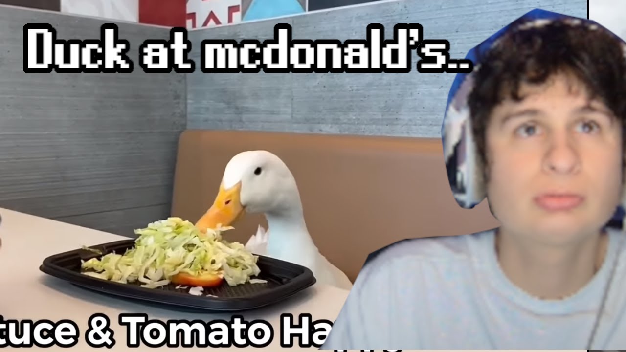 This guy took his duck to the world's biggest mcdonalds.. | fanof ...