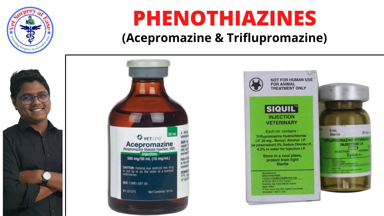 Phenothiazines | Anesthesiology | Lecture 08 - YouTube