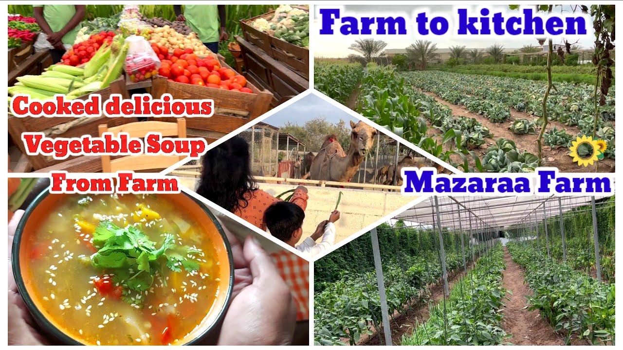 ️ # FARMING IN DUBAI # can u believe # [HIDDEN GEM IN UAE] # ORGANIC ...