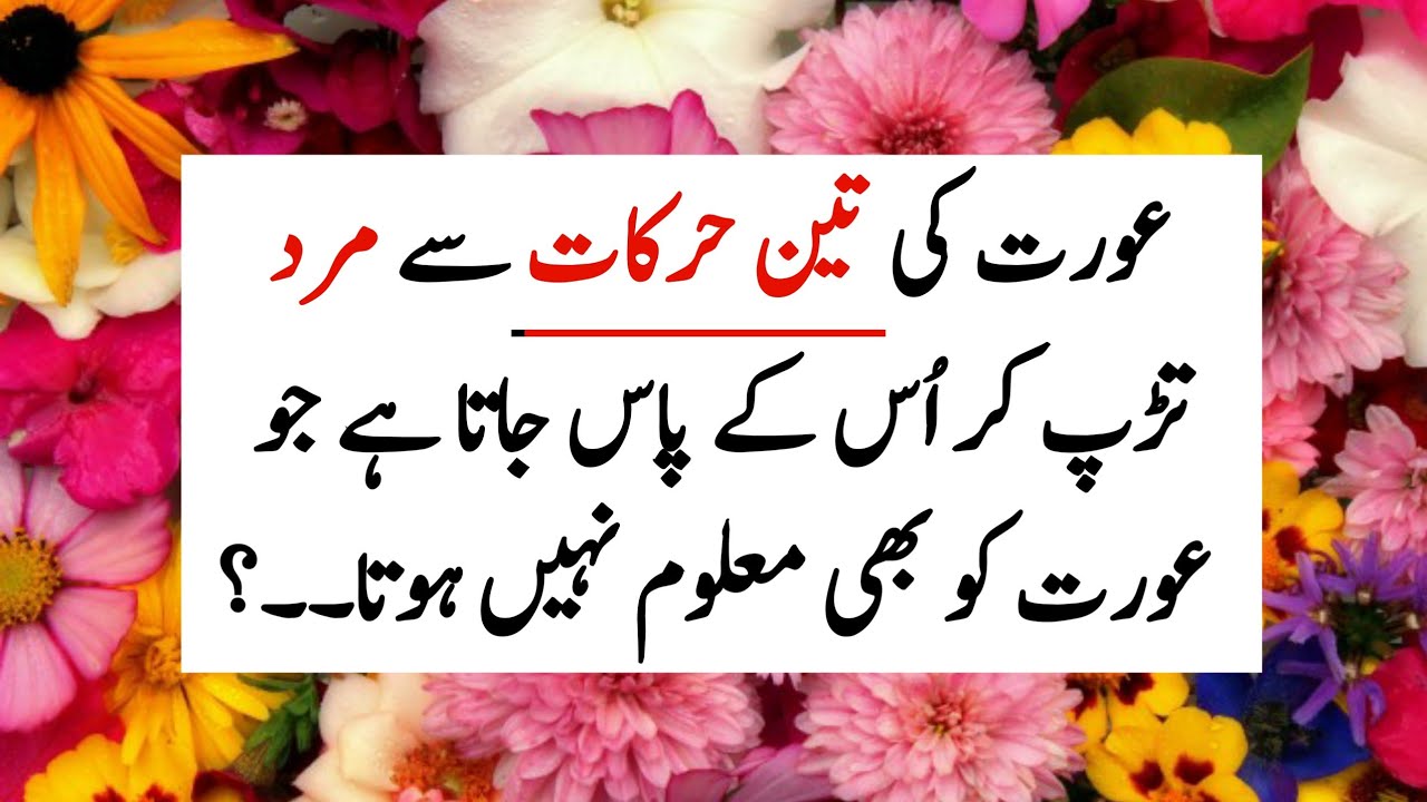 Bano Qudsia Qoutes in Urdu | Bano qudsia | Relationship Qoutes | Aurat ...
