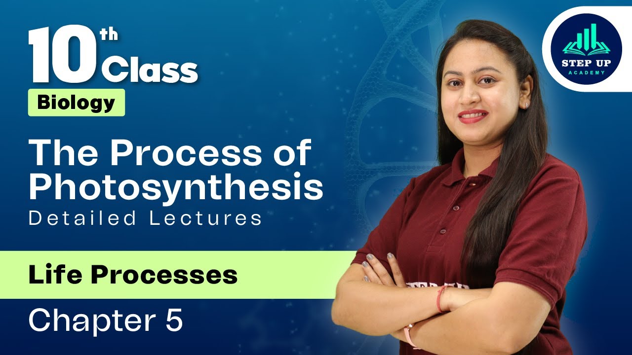 The Process of Photosynthesis - Life Processes | Chapter 5 (L3) | CBSE ...