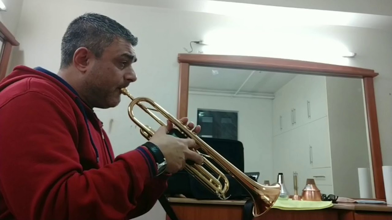 The Raiders March (Indiana Jones Theme) - John Williams (Trumpet cover ...