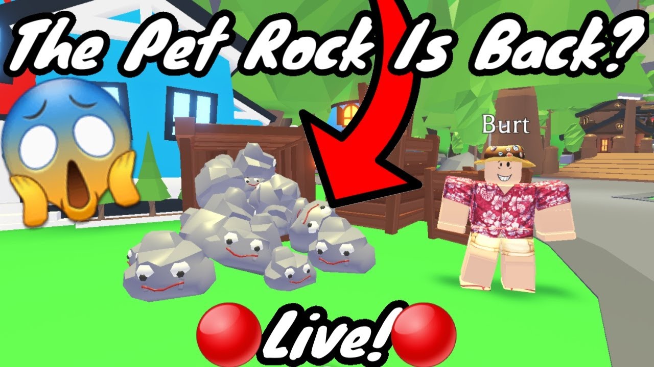 The Pet Rock Is Back? Adopt Me! 🔴Live!🔴 (No Facecam) - YouTube