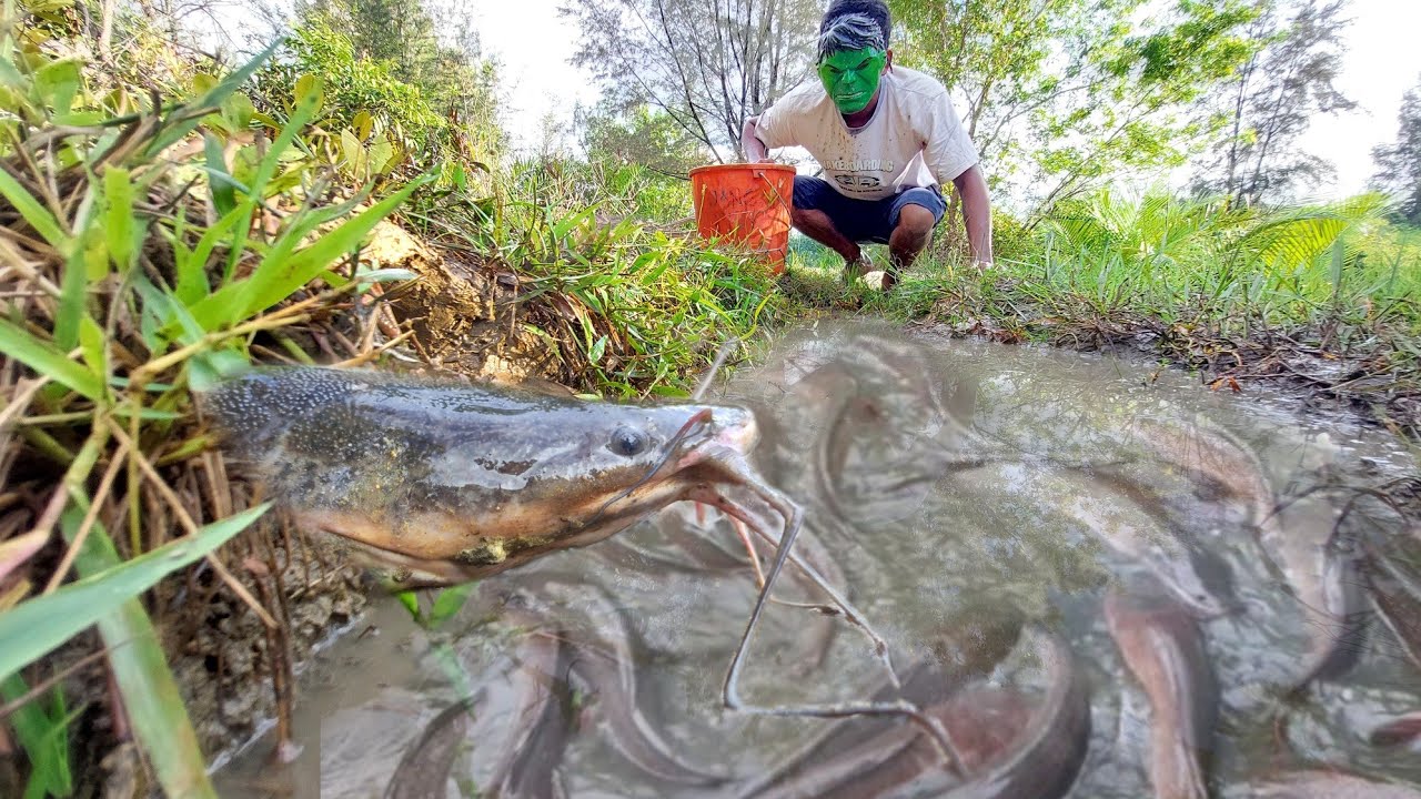 Wow amazing daily life - Hulk caught a lot of fish that came out of the ...
