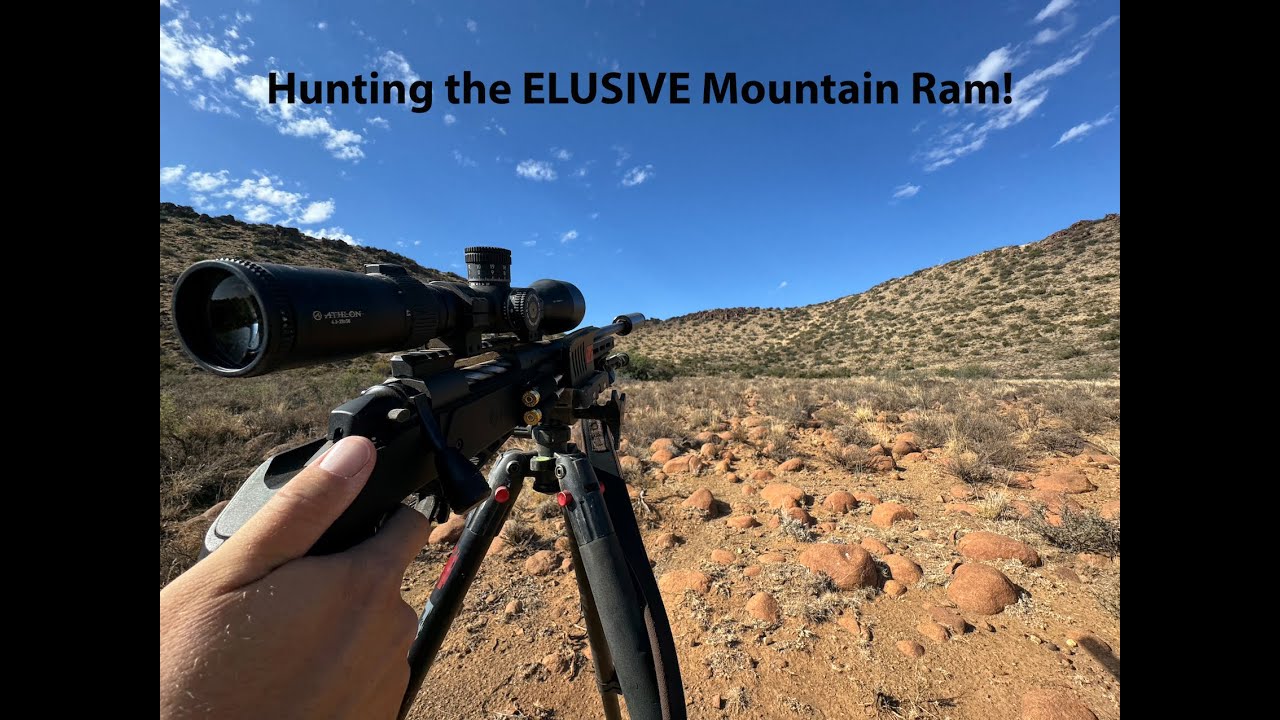 Hunting the ELUSIVE Mountain Ram! - YouTube