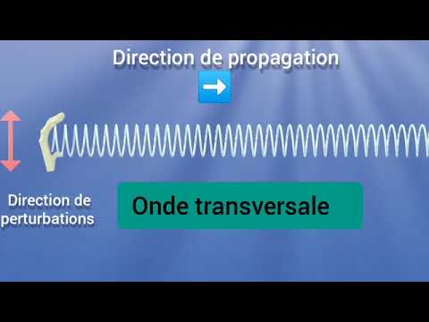 Simulation Onde Transversale et Longitudinale - YouTube