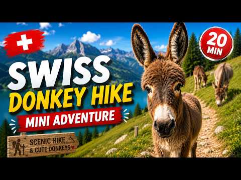 The Cutest Hike in Switzerland? | 20 Min Mini Adventure (4K)