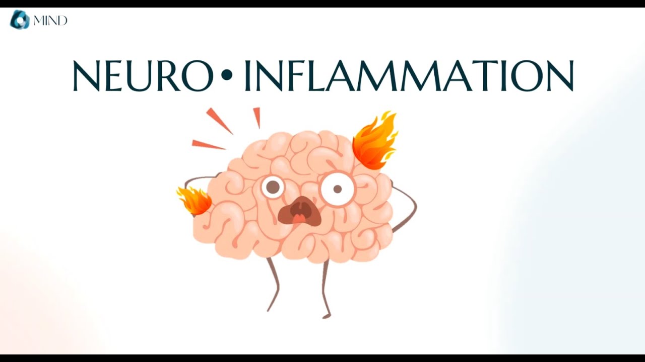Elements of Science | Neuroinflammation - YouTube