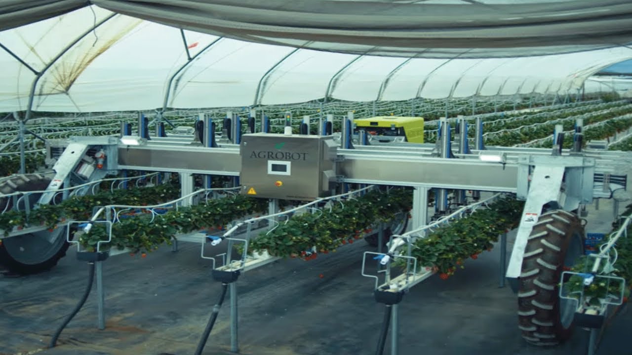 Top 5 Agricultural Robots (agrobots) For Harvesting And Nursery - YouTube